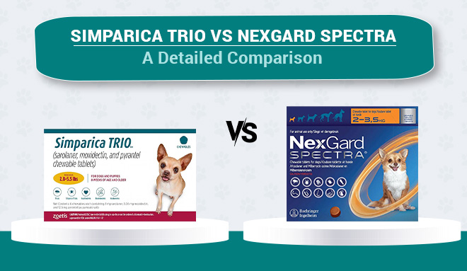 Discover the benefits and differences between Simparica Trio and ...