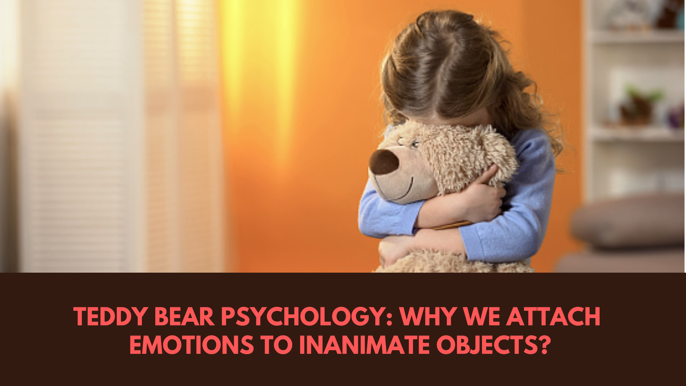 Teddy Bear Psychology: Why We Attach Emotions to Inanimate Objects ...